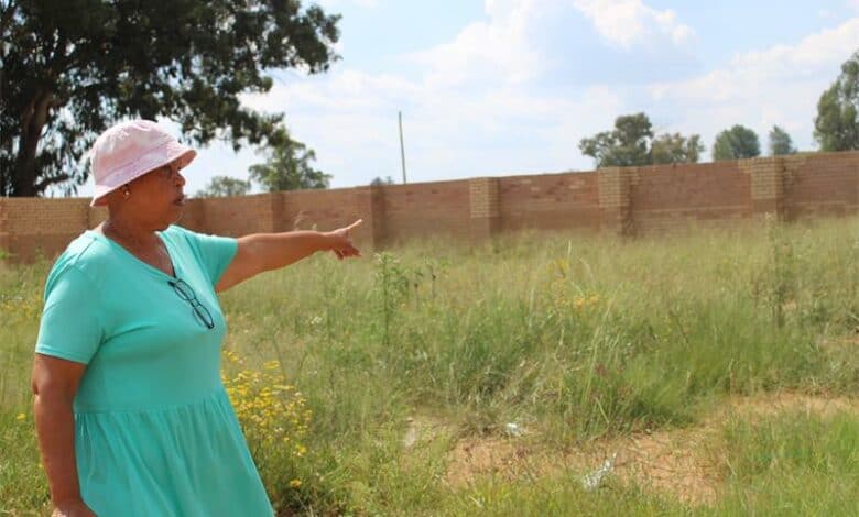 Snakes pose a threat to Dan Tloome residents due to overgrown grass