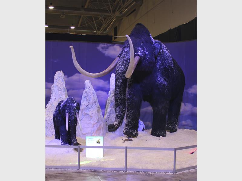 Ice age brought back with life-size exhibition | Kempton Express