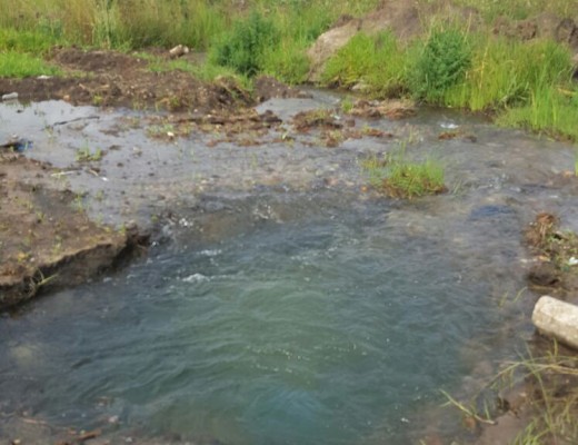 VIDEO: Tests done on reservoir water after discovery of worm | Kempton ...