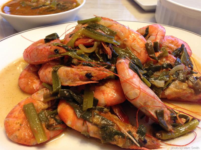 Lusito Land – the fiesta continues | Kempton Express