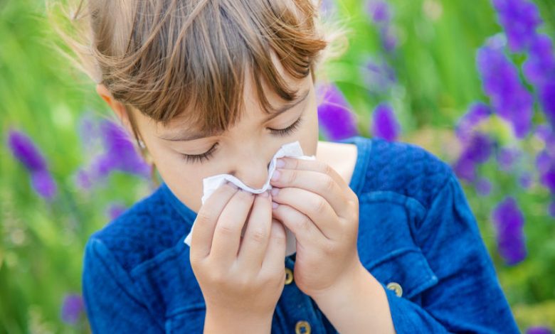 Common cold or allergy? How to tell the difference | Kempton Express