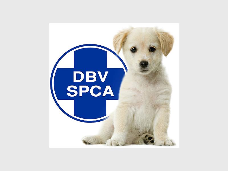 SPCA needs an animal health technician | Kempton Express