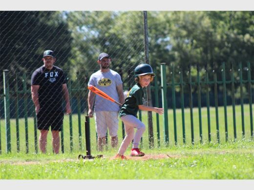 Baseball action in Kempton Park | Kempton Express