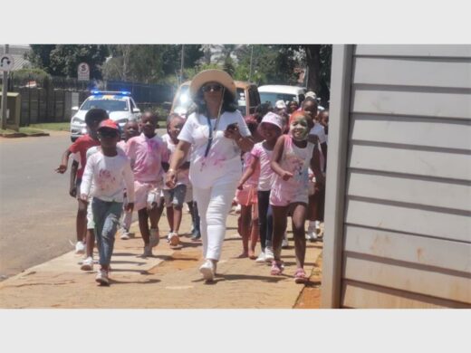 Colourful day for Bonaero Park learners | Kempton Express