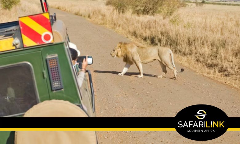 How to choose the right safari transfer service | Kempton Express