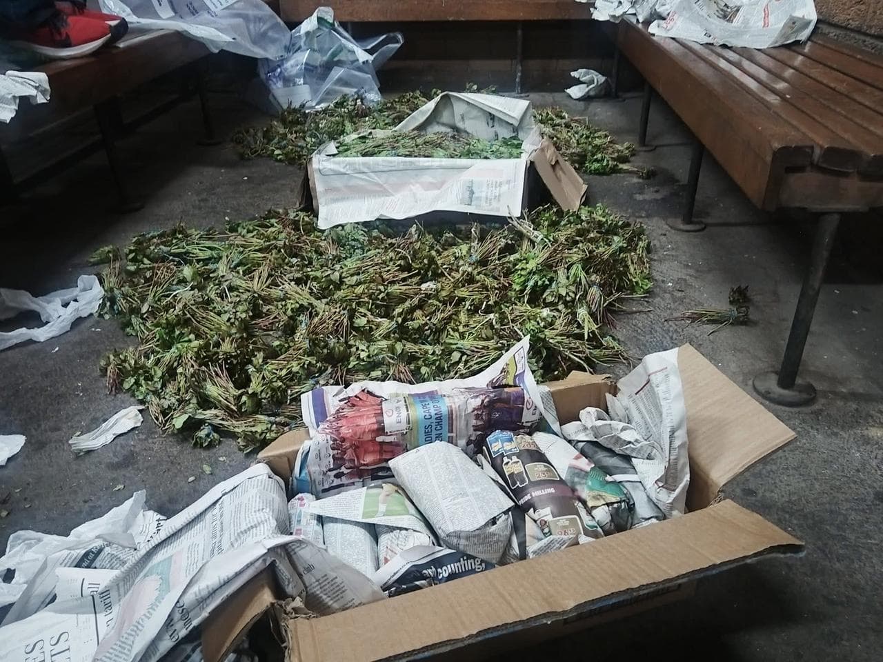 Illicit drugs worth R200 000 seized in Kempton Park operation | Kempton ...