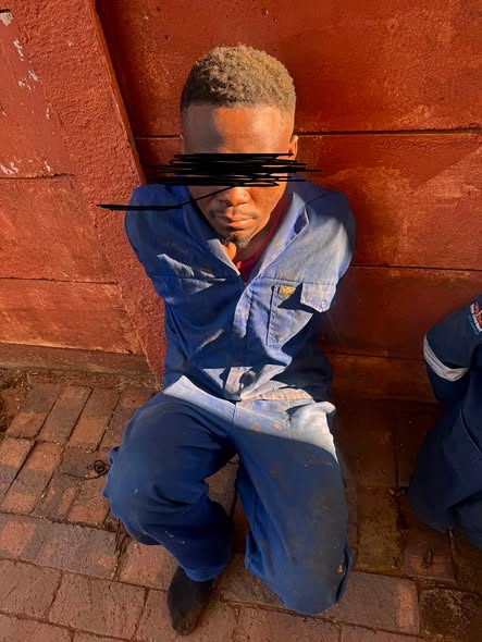 Four arrested for alleged cable theft in Primrose | Germiston City News
