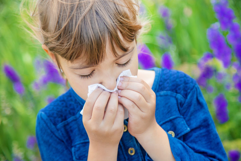 Common cold or allergy? How to tell the difference | African Reporter
