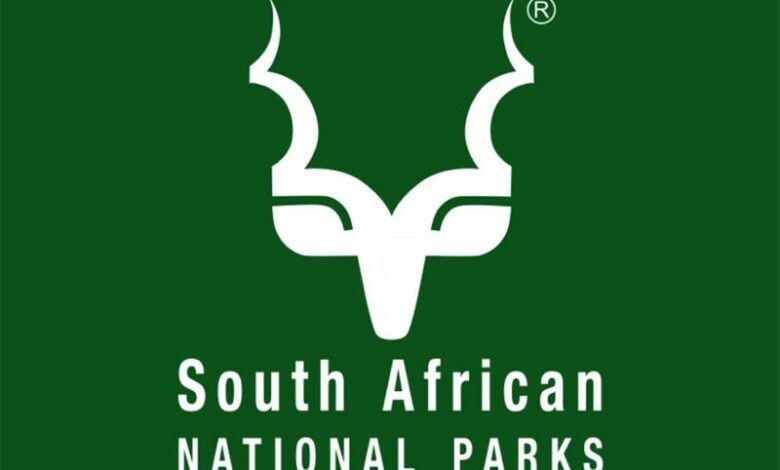 Explore your country during SANParks Week 2022 | African Reporter