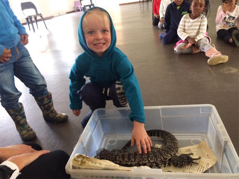 Creepy crawlies visit Junior Colleges Sunninghill | Sandton Chronicle