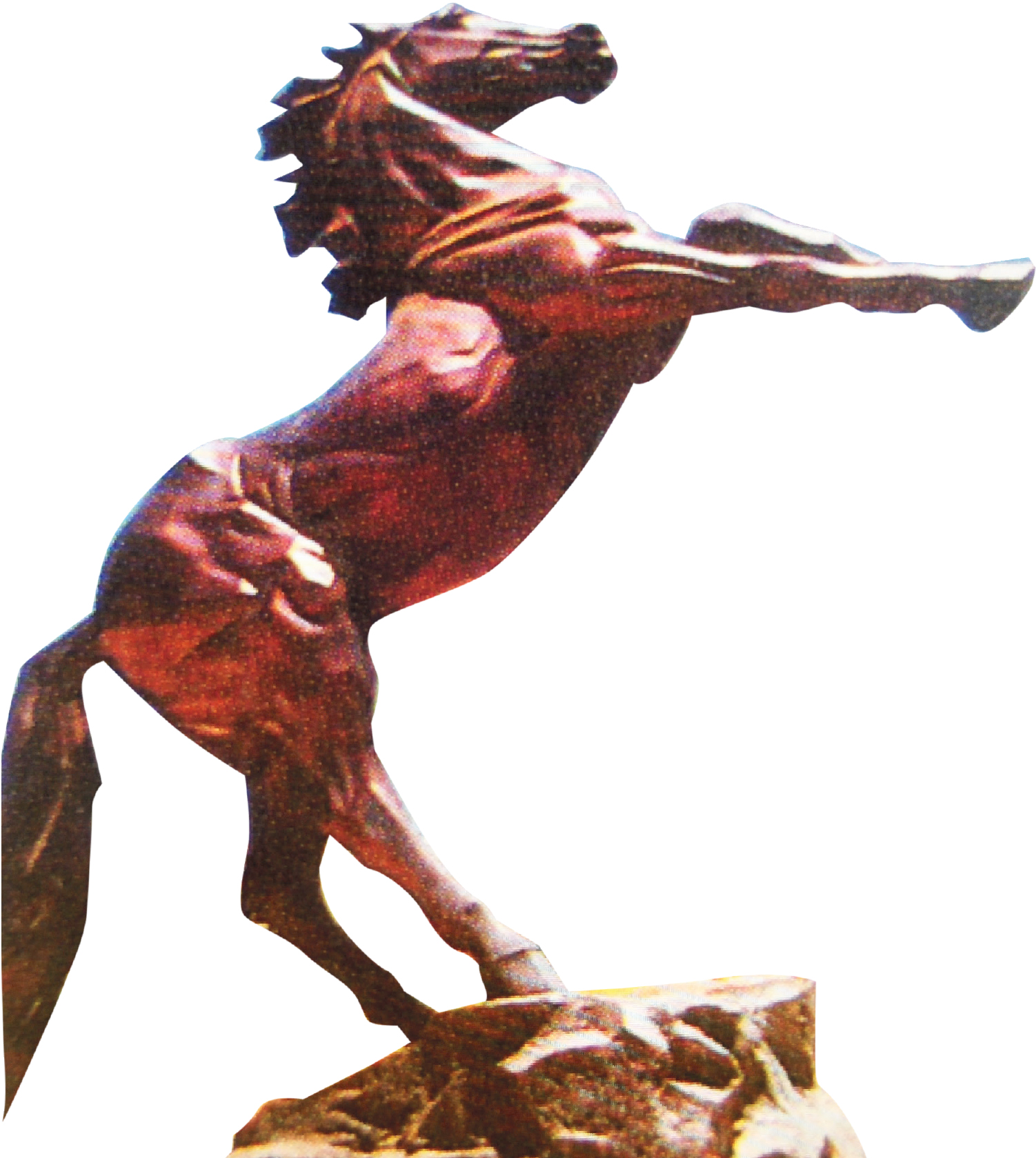 The Legend of the Stallion | Sandton Chronicle