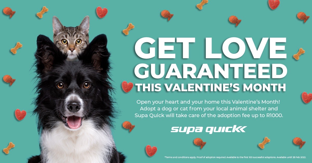 Supa Quick, spreading love this February by covering your dog and cat ...