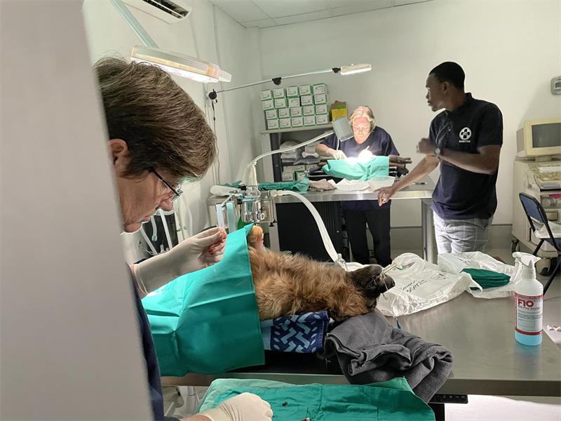 A heartfelt thank you from the Sandton SPCA | Sandton Chronicle