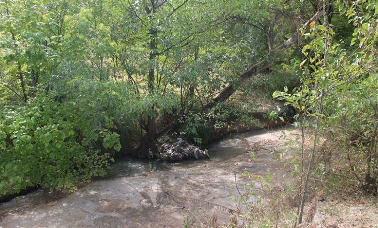 JCPZ’s blitz plan for park in Bryanston | Sandton Chronicle