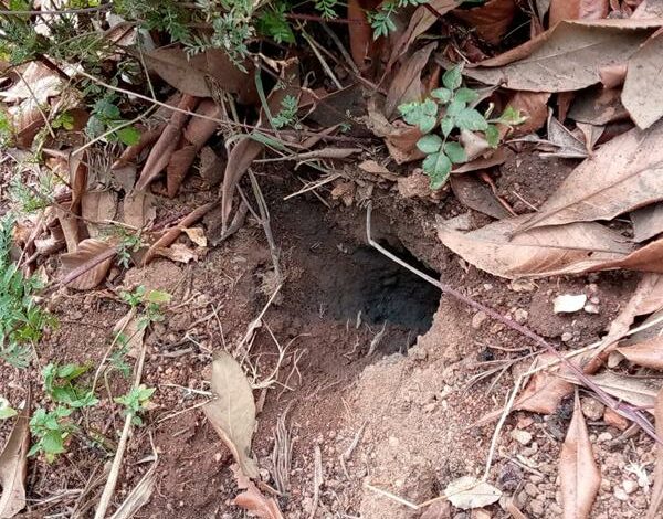 City Power investigates underground blasts in Hyde Park | Sandton Chronicle