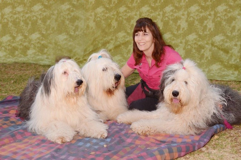 Come and en-JOY seeing these famous dogs | Alberton Record