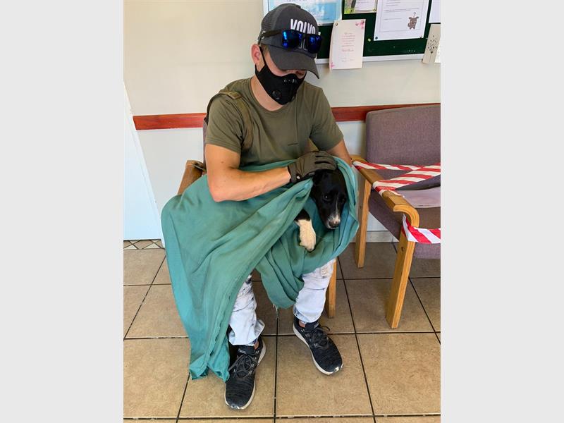 A day out with Animal Protection Network | Alberton Record