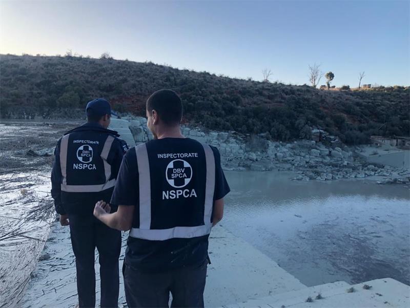 NSPCA on the ground to assist in Free State floods | Alberton Record