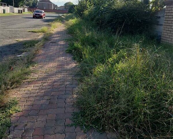 Alberton Cemetery in a sad state | Alberton Record