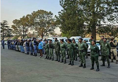 SAPS arrest 21 suspects during Alberton district high density operation ...