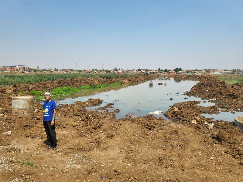 Collapsed sewer line in Palm Ridge causes concern | Alberton Record