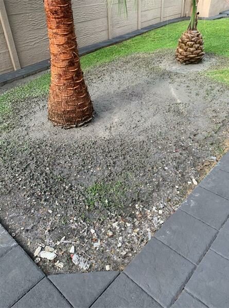 Florentia resident suffers years of sewage flooding | Alberton Record