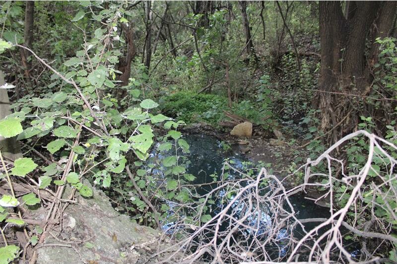 Sewage overflows threaten Alberton waters: Historic farm, golf course ...