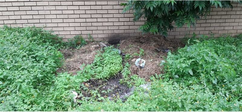 Poor condition at the Brackenhurst Square addressed | Alberton Record