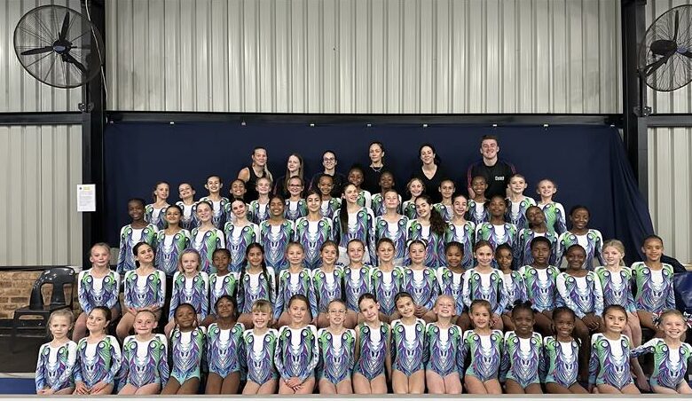 Twisters gymnasts shine at the Gauteng Festival | Alberton Record