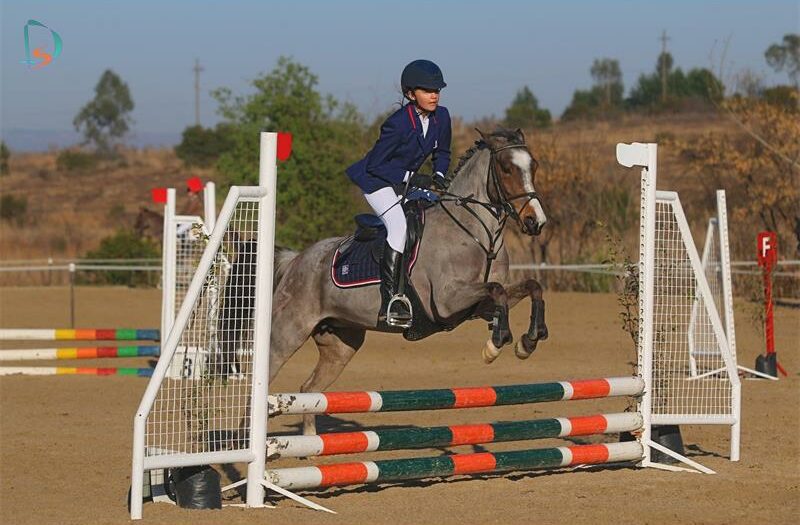 Laerskool Randhart riders make Gauteng SANESA Nationals team | Alberton ...