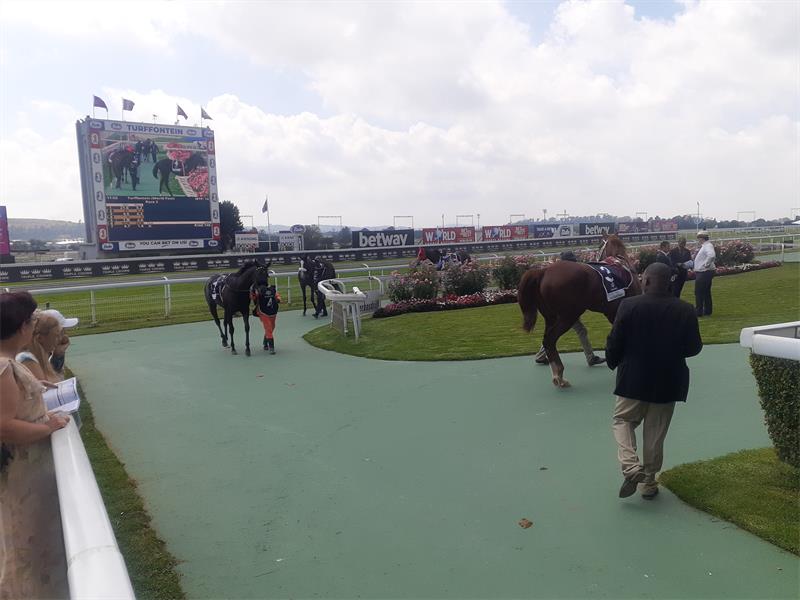 WATCH: Champions Day at Turffontein delivers thrilling racing action ...