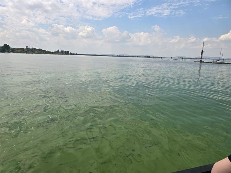 Vaal Dam overflows but taps still run dry | Southern Courier