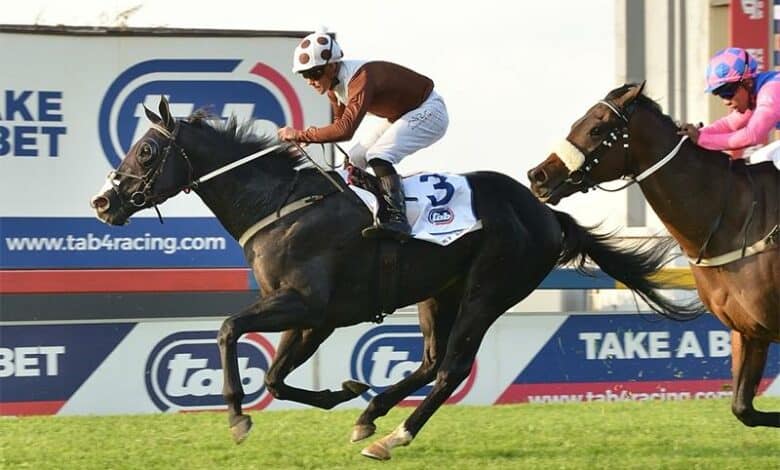 All eyes on Turffontein Racecourse for the Championship Finale ...