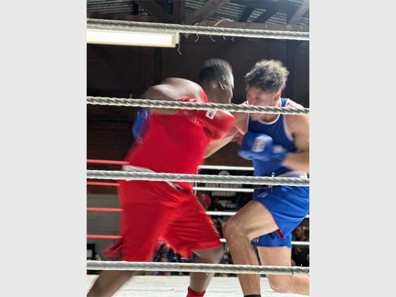 WATCH: Gauteng Boxing Championships: Ethan's dominant performance ...