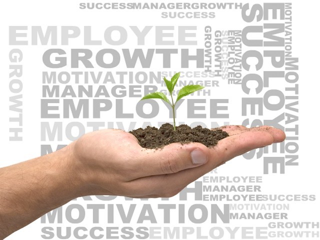 Talent development project | Comaro Chronicle