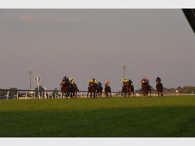 July in Jozi will not disappoint | Comaro Chronicle