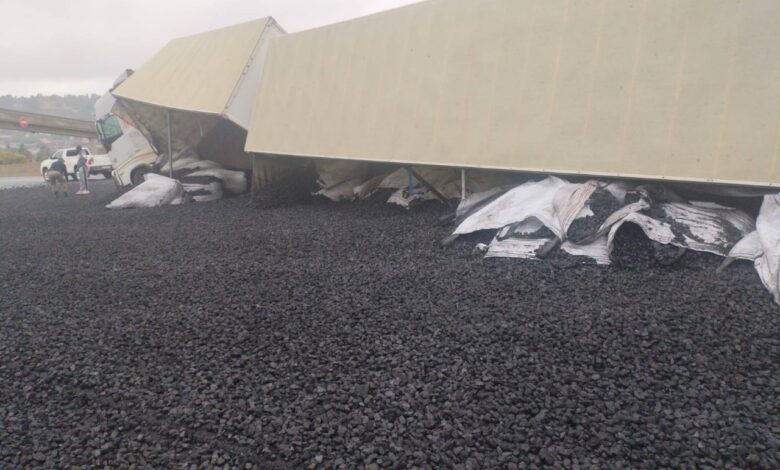 無料avショート動画