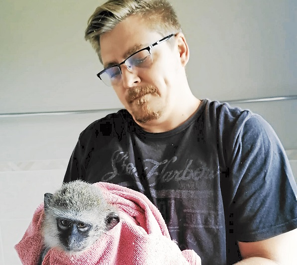 Suspect identified following monkey slap video in Amanzimtoti | South ...