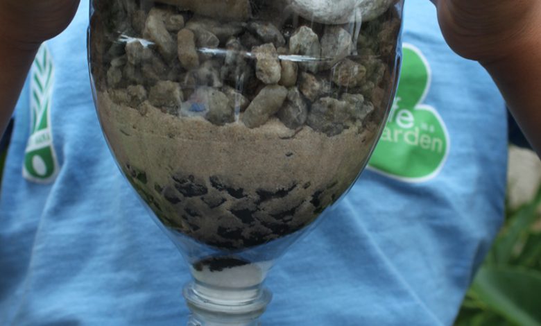 Teach children about water filtration while having fun | South Coast Sun