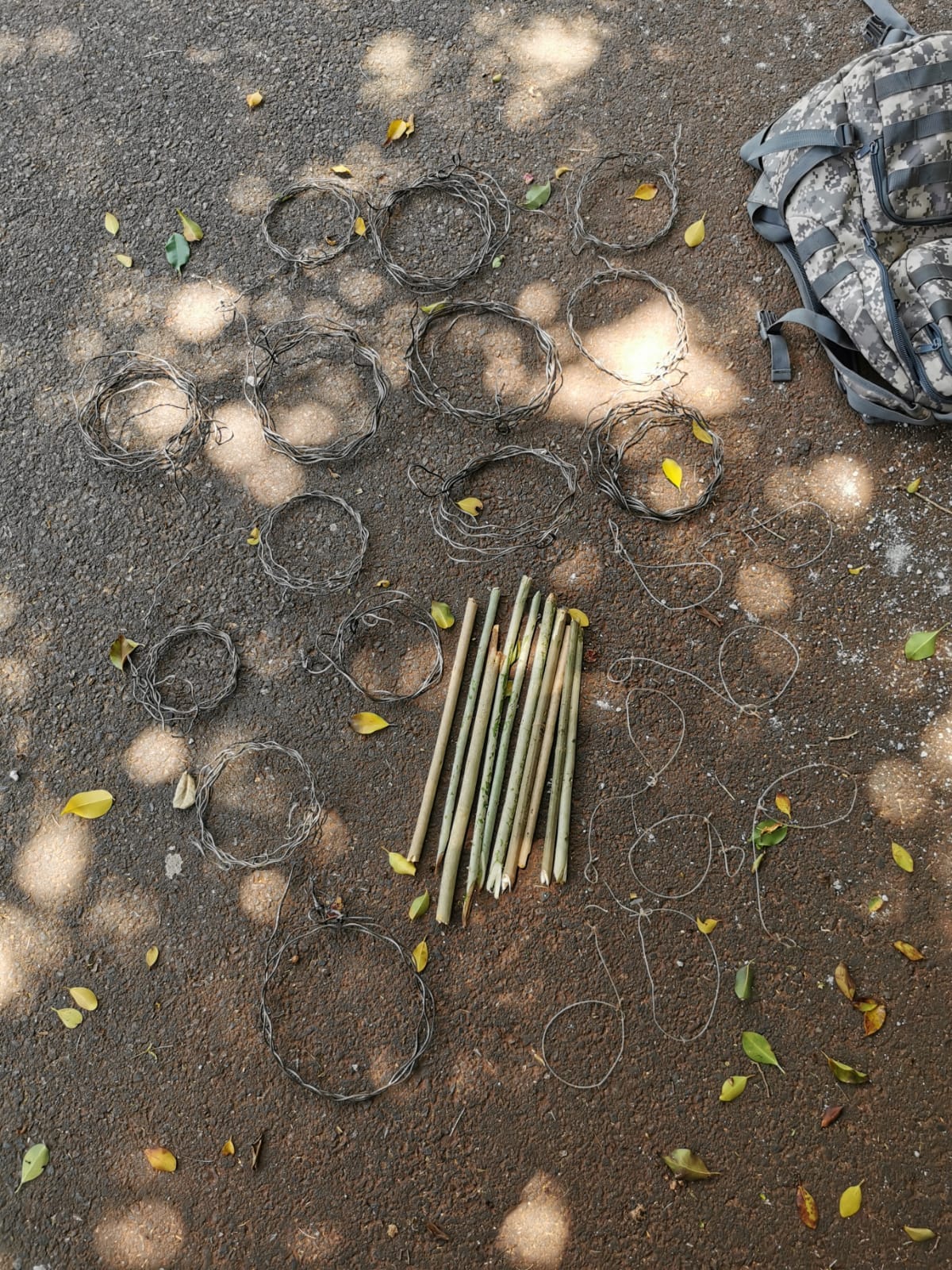 A successful month for Snare Aware | South Coast Sun