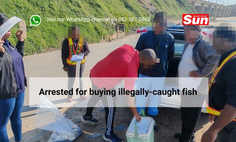 Man arrested for buying illegally-caught fish | South Coast Sun