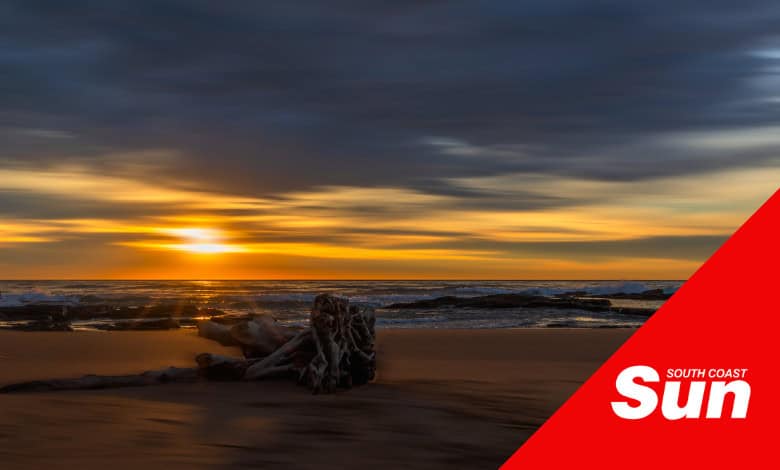 Back-to-back wins for Sapphire Coast photographer | South Coast Sun