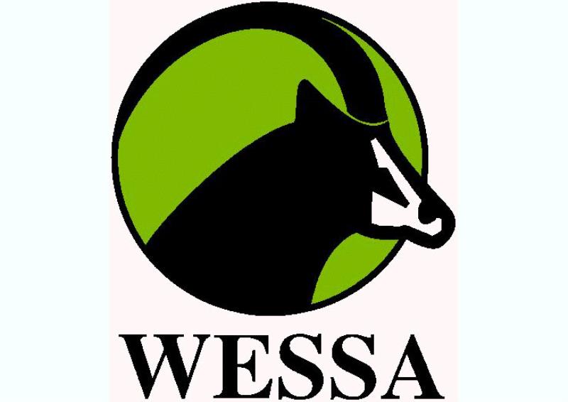 Wessa workshops on waste | Southlands Sun
