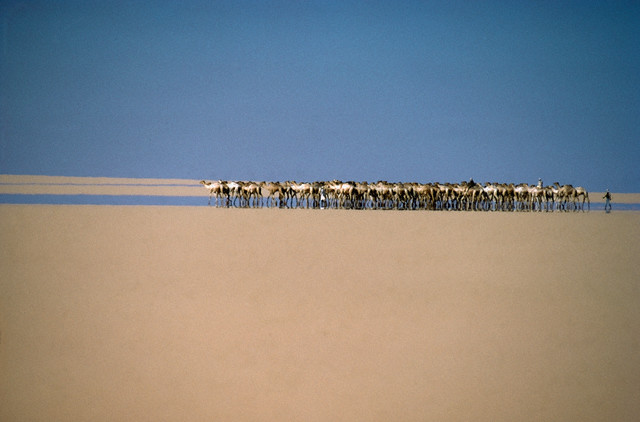 Optical illusion: A mirage in the desert | Southlands Sun
