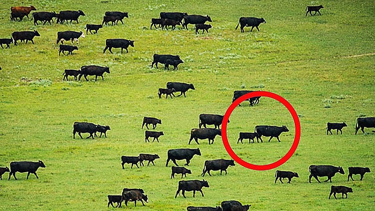 6 Phenomena that Science cannot Explain | Southlands Sun