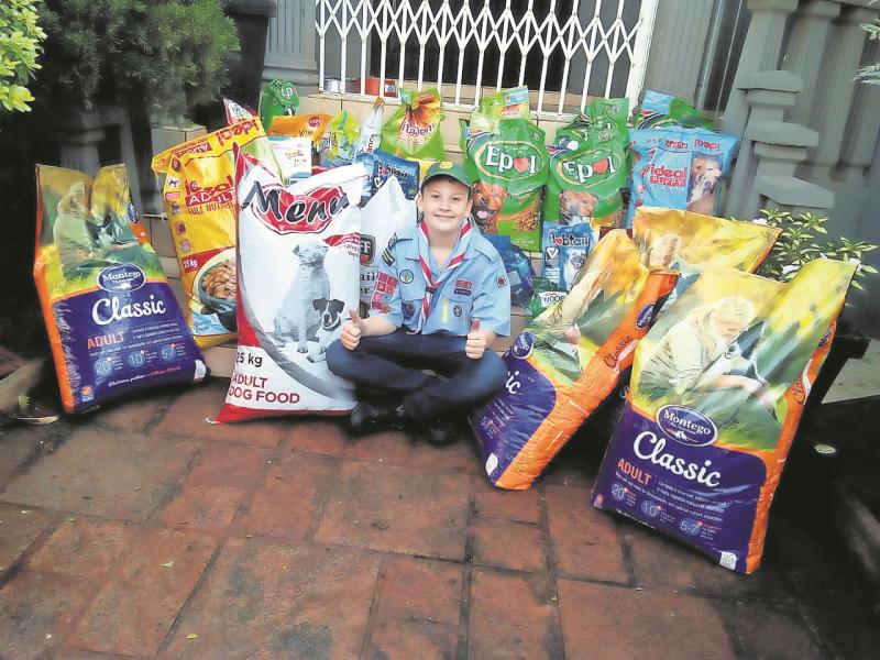 Ethan's tail-wagging dog food donation drive amasses more than half a ...