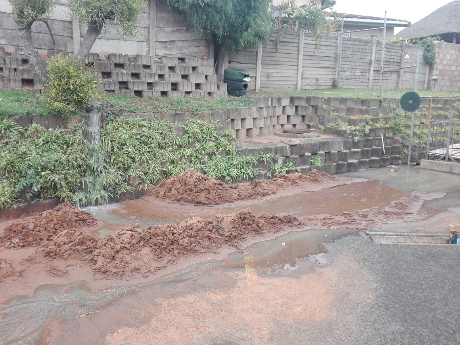 Sewage stink suffocates the Bluff | Southlands Sun