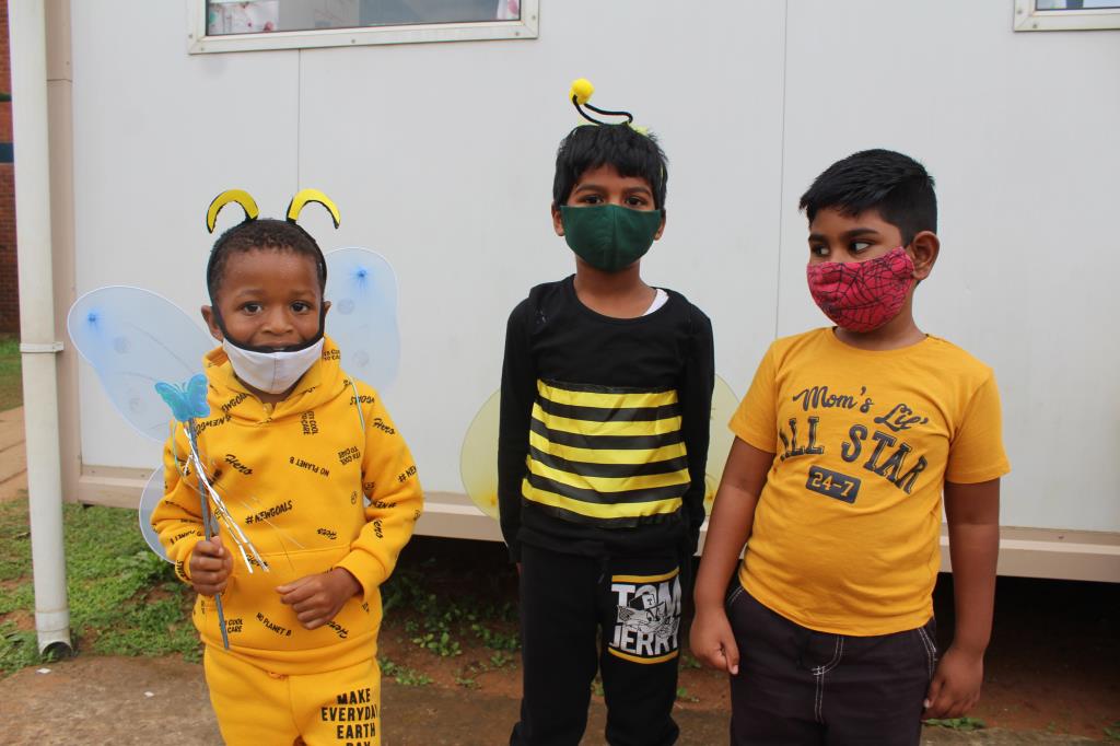 WATCH: Learners get buzzing to raise awareness on bees | Southlands Sun
