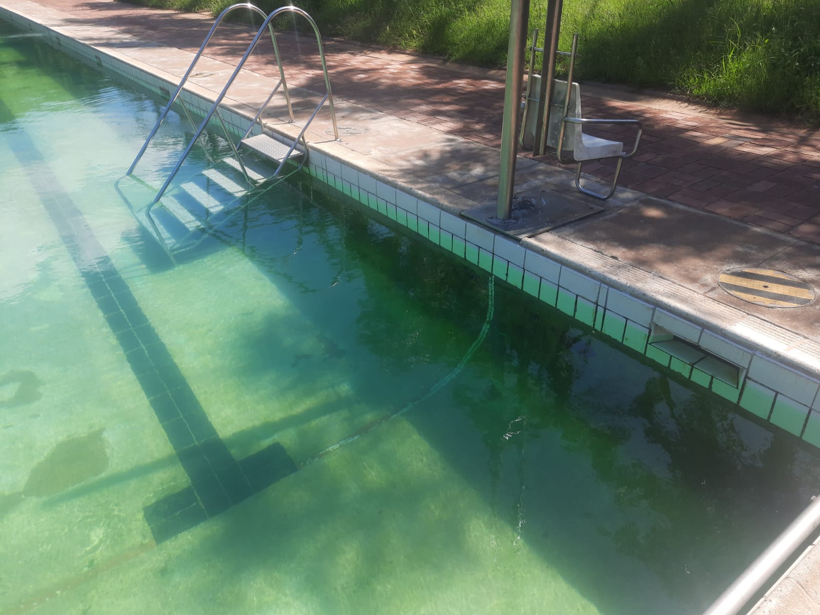 Lieutenant King swimming pool forced to close | Southlands Sun
