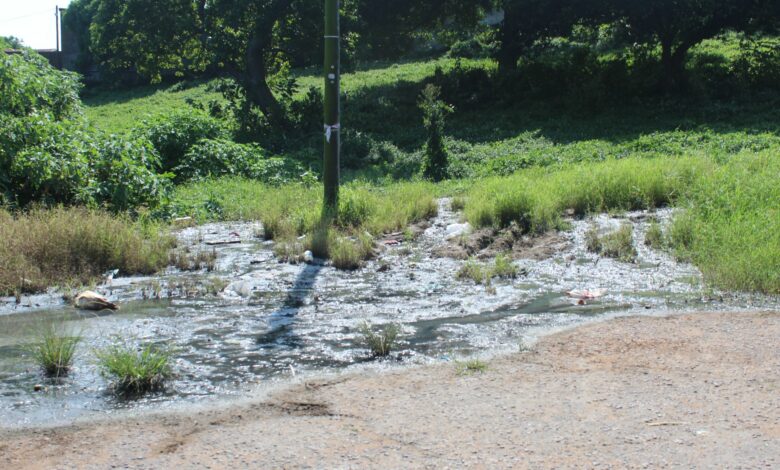 Ward 68 responds to sewer blockages in Merebank | Southlands Sun